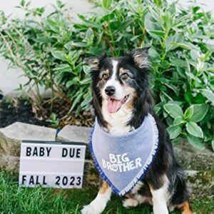 Everything Tailed Blue Big Brother Dog Bandana for Pregnancy Announcement, Pet Photo Prop, Handkerchief and/or Scarf for Dog, Fits Medium to Large Dogs