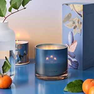 Illume Beautifully Done Essentials Citrus Crush Vanity Tin Scented Candle