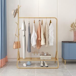 HKaikzo Gold Clothes Rack, Clothing Rack for Hanging Clothes, Boutique Garment Rack with Detachable Storage Shelves and Hat Hooks, for Bedroom Cloakroom (47.3" L)