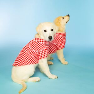 Doggy Parton Red Gingham Western Collared Shirt for Pets - XS