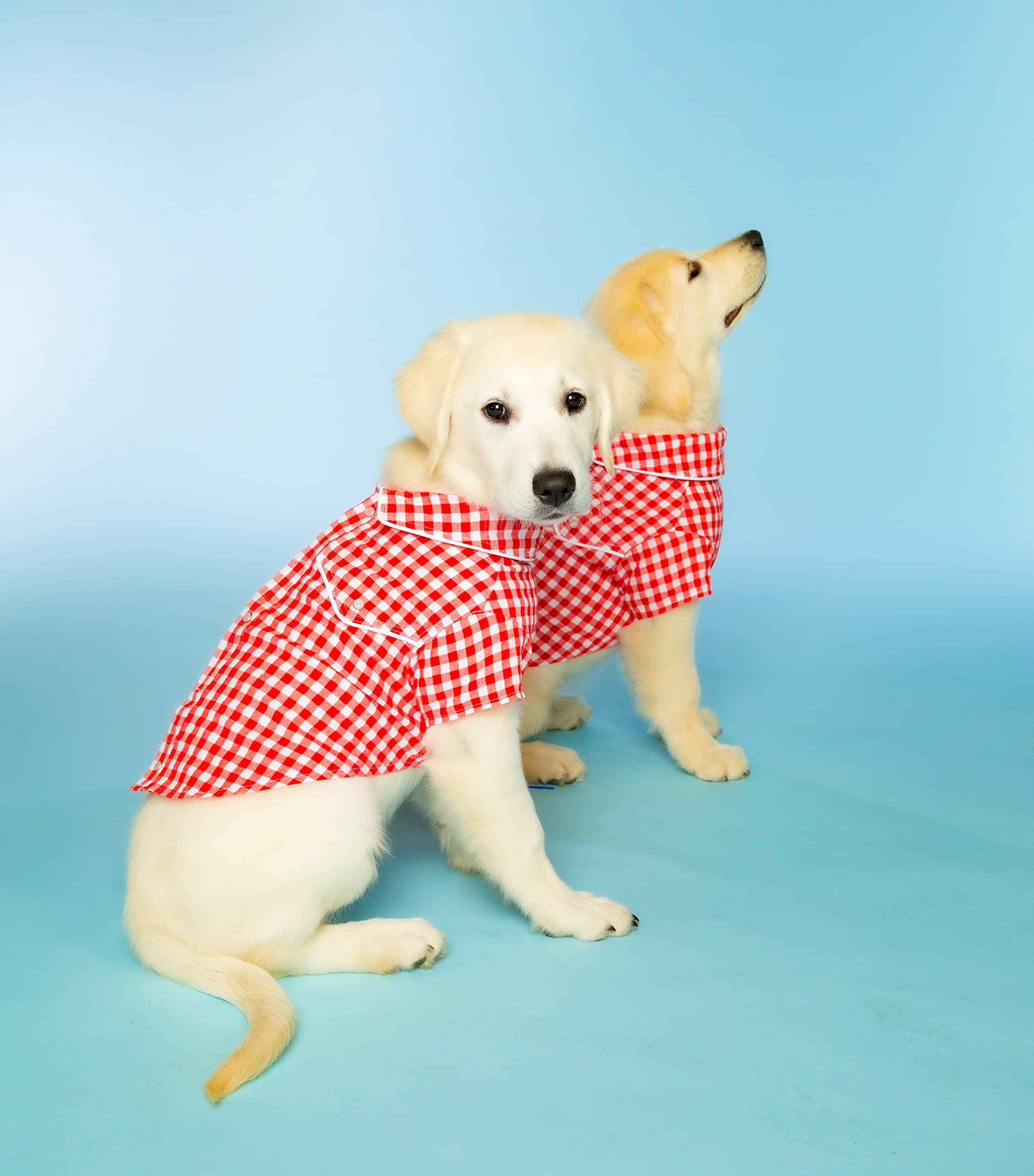 Doggy Parton Red Gingham Western Collared Shirt for Pets - XS