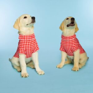 Doggy Parton Red Gingham Western Collared Shirt for Pets - XS