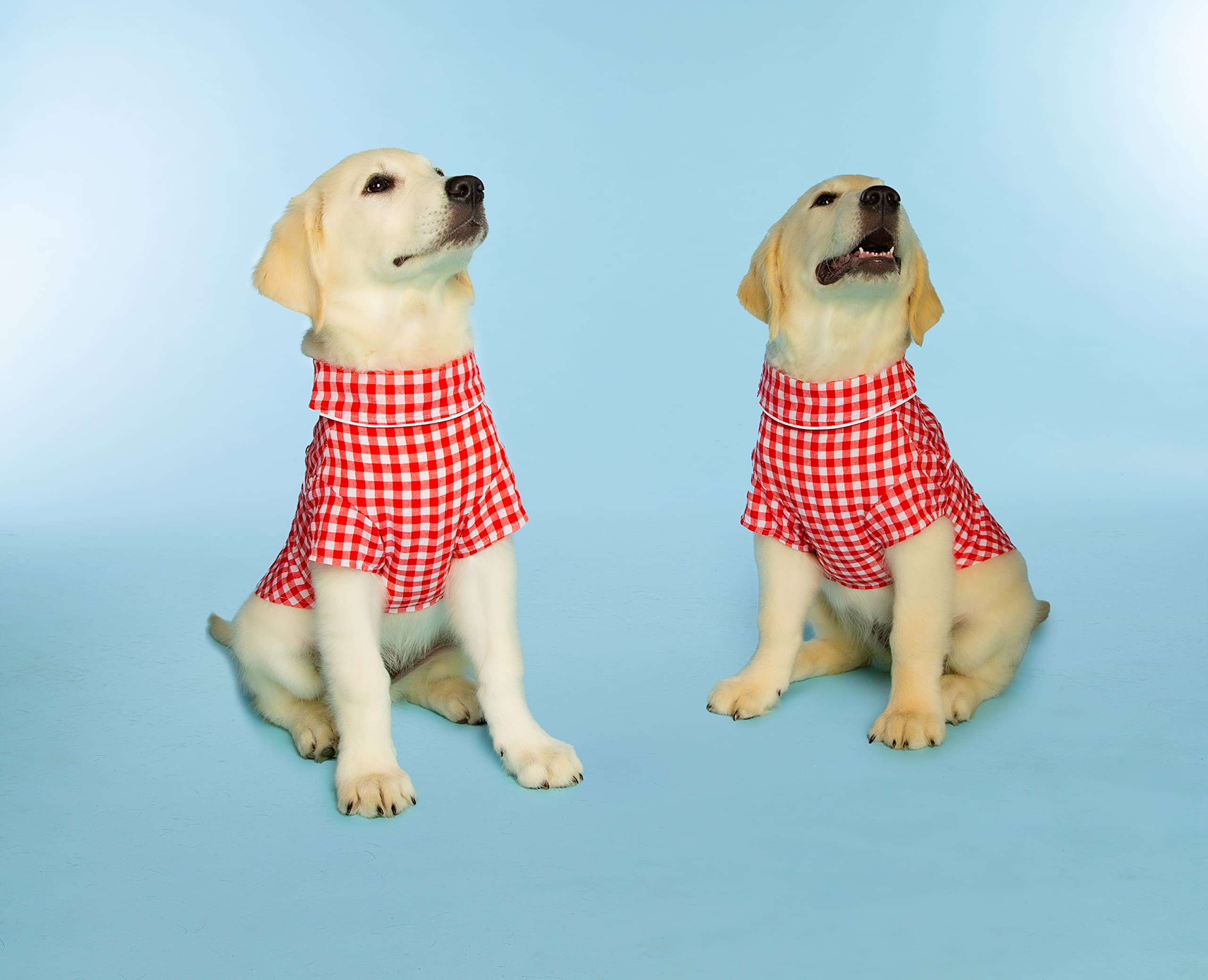 Doggy Parton Red Gingham Western Collared Shirt for Pets - XS