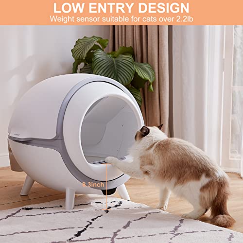 Self Cleaning, DECEMPADS Automatic,Safety Protection Extra Large Cabin Weight Sensor APP Control Timer No Scooping Smart Cat litter box Washable Cleaning Cabin