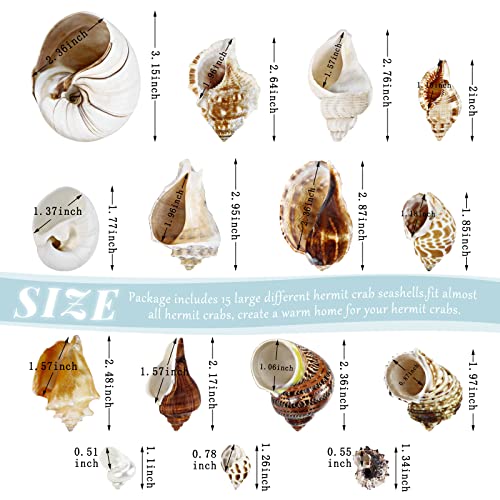 WEOXPR 15 Pieces Hermit Crab Shells - 15 Kind Large Growth Turbo Seashells, Opening 0.8" - 1.5" Natural Sea Shells for Hermit Crab Supplies, Aquarium Decoration