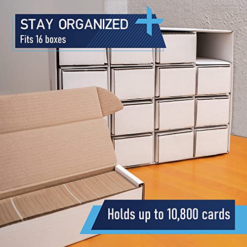 Invested Alliance 16 Trading Card Storage Boxes | Baseball / Sports Card Storage Organizer for TCG, MTG. Baseball, NBA, and Football Cards Box. Magic Card Storage Box.