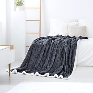 Soft Throw Blanket Double Sided, Soft Fuzzy Fluffy Cozy Blanket Plush Furry Comfy Warm Blanket for Couch Bed Chair Sofa, 60 * 80 inches