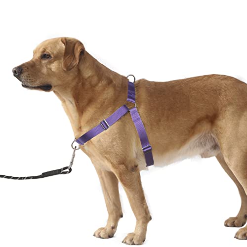 Hiado Dog Harness with Front Clip and Back Clip No Pull Adjustable for Small Medium Large Dogs Purple L