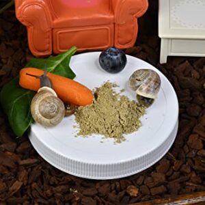 Snout & Shell Vegetable Flavored Pet Land Snail Food - Tasty High-Protein, Calcium Blend for Snails, Easy Addition to Your Garden Snails Terrarium or Snail Habitat