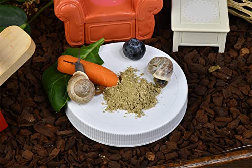 Snout & Shell Vegetable Flavored Pet Land Snail Food - Tasty High-Protein, Calcium Blend for Snails, Easy Addition to Your Garden Snails Terrarium or Snail Habitat