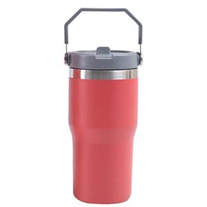 stainless steel straw cup, vacuum insulated water bottle for home, office or car, reusable cup with straw leak proof flip cap, portable (powder cup grey lid20oz), water bottle, thermos.