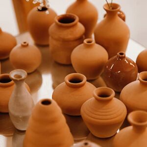 Deouss 5 lbs Low Fire Pottery Clay for Sculpting, Beginners, and Advance- Terra Cotta, Cone 06. Earthware Potters Throwing Clay. Ideal for Wheel Throwing, Hand Building, Firing and More