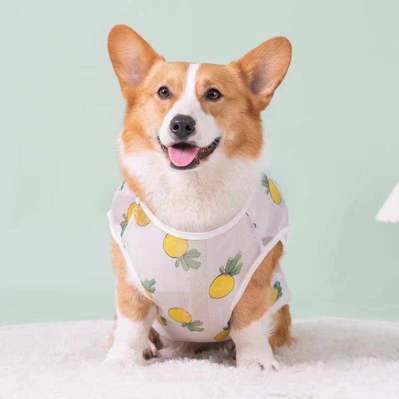 Dog Shirt Vest Lightweight Stretchy Dog T-Shirts Soft Cool Shirts Sleeveless Stripe Vests Breathable Clothes for Medium Large Dogs 2 Pack Bear + Pineapple