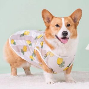 Dog Shirt Vest Lightweight Stretchy Dog T-Shirts Soft Cool Shirts Sleeveless Stripe Vests Breathable Clothes for Medium Large Dogs 2 Pack Bear + Pineapple