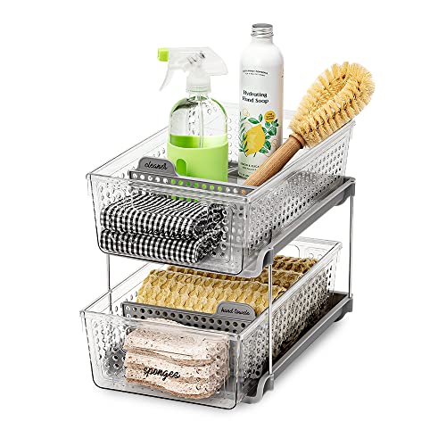 madesmart 2-Tier Plastic Multipurpose Organizer with Divided Slide-Out Storage Bins, Under Sink and Cabinet Organizer Rack, Clear