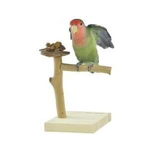 GUANLANT Natural Wood Bird Stands Feeder Toys, Tabletop Portable Training Parrots Perch Playstands Feeding Bowl Treats Toys,Bird Cage Playground Accessories for Parakeets Conure Budgies Lovebirds