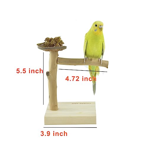 GUANLANT Natural Wood Bird Stands Feeder Toys, Tabletop Portable Training Parrots Perch Playstands Feeding Bowl Treats Toys,Bird Cage Playground Accessories for Parakeets Conure Budgies Lovebirds