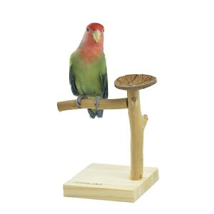 GUANLANT Natural Wood Bird Stands Feeder Toys, Tabletop Portable Training Parrots Perch Playstands Feeding Bowl Treats Toys,Bird Cage Playground Accessories for Parakeets Conure Budgies Lovebirds