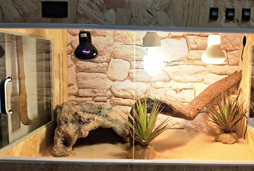 ChasMe Snake Hide Cave Reptile Hideout Terrarium Desert Landscaping Realistic Rock Hiding Shelter for Bearded Dragon Hermit Crab Torroise (Large (10in))