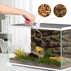 OIIBO 15 Gallon Glass Reptile Terrarium Tank, 20" X 12" X 14" Medium Reptile Terrarium with Sliding Screen Top for Gecko, Hermit Crab, Snake Reptiles and Small Animals