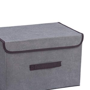 Foldable Storage Box with Lid Snacks Organizer Container Closet, L Gray, As Described