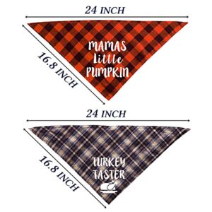 STMK Thanksgiving Day Dog Bandanas, 2 Pack Holiday Fall Plaid Dog Bandanas Scarf for Holiday Fall Halloween Thanksgiving Day Dog Puppy Costume (Mamas Little Pumpkin & Turkey Taster)