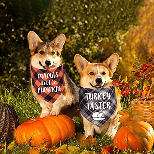 STMK Thanksgiving Day Dog Bandanas, 2 Pack Holiday Fall Plaid Dog Bandanas Scarf for Holiday Fall Halloween Thanksgiving Day Dog Puppy Costume (Mamas Little Pumpkin & Turkey Taster)