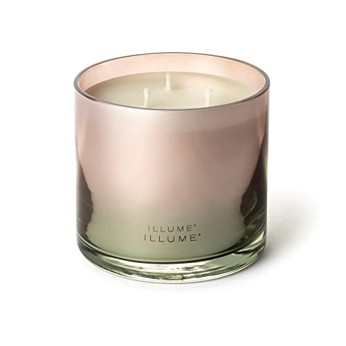 Illume Beautifully Done Essentials Coconut Milk Mango Statement Glass Scented Soy Candle