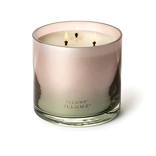 Illume Beautifully Done Essentials Coconut Milk Mango Statement Glass Scented Soy Candle