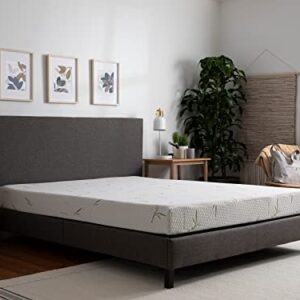 Tulo 6" Firm Comfort Memory Foam Bamboo Pressure Relief Mattress in a Box | Queen Size