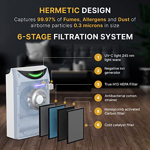 ECONIKA Air Purifiers for Large Room - 4 in 1 Humidifier and Air Purifier in One - H13 True HEPA Air Purifier for Allergies - Ionizer and UV-lamp - Covers Up to 700 Sq.Foot Home Air Cleaner