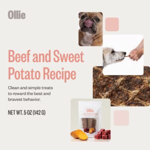 Ollie Beef and Sweet Potato Jerky Recipe Dog Treats - Dog Jerky Treats All Natural - Healthy Dog Treats - Beef Jerky for Dogs - Real Meat Dog Treats 5 Oz.