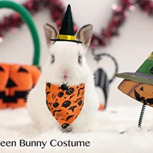 CooShou Halloween Guinea Pigs Wizard Hat Bandanas Costume Rabbit Triangular Scarf Black Orange Pumpkin Spider Bat Devil for Small Animals Bunny Sugar Glider Holiday Party L