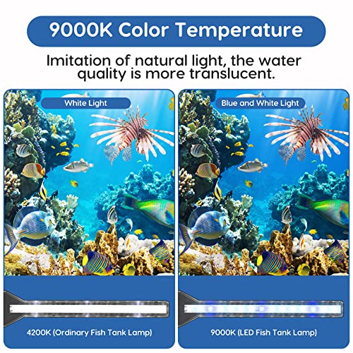 FYD LED Aquarium Light, 4.5W Clip on Aquarium Light Suitable for Uncovered Aquariums Under 15 Inches, Fish Tank Light with White & Blue Lights, Aquarium Plant Light for Reef Coral Aquatic Plants