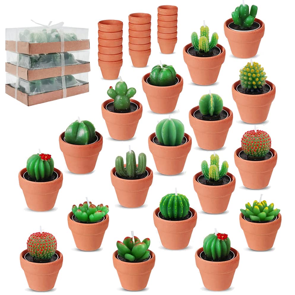 18pcs Cactus Tealight Candles Tea Party Decorations Succulent Baby Shower Fiesta Party Favors Home Decor Plant Gifts T Light Candles in Bulk