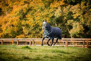 horseware ireland amigo bravo 12 plus medium weight waterproof breathable horse turnout blanket, 250g, navy/aqua & turquoise, 81