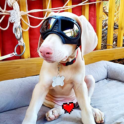 ENJOYING Small Dog Goggles Anti-UV Puppy Sunglasses Soft Pet Motorcycle Eyewear Fog-Proof Windproof Shatterproof Dog Glasses for Small-Medium Dogs, Sliver