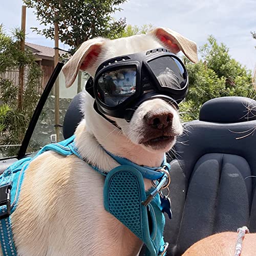 ENJOYING Small Dog Goggles Anti-UV Puppy Sunglasses Soft Pet Motorcycle Eyewear Fog-Proof Windproof Shatterproof Dog Glasses for Small-Medium Dogs, Sliver