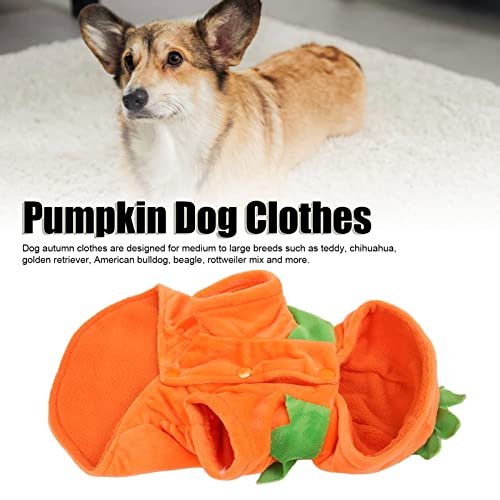 Dog Pet Halloween Pumpkin Costume Funny Hoodies Pet Festival Costume Clothes Halloween Pumpkin Dog Clothes 4XL