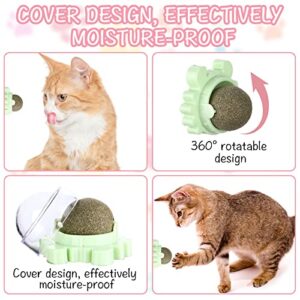 9 Pcs Catnip Wall Ball, Cat Toys Catnip Balls for Cats Wall Mounted Catnip Ball Toy Catnip Rollerball Wall Cat Lick Ball for Cat Kitten Kitty Pet Rotatable Indoor Catnip Toys Treat, Crab Snail Cat Ear