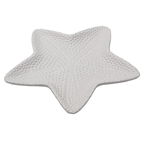 Fitz and Floyd Fitz & Floyd Coastal Home Starfish Platter, 14.5 Inch, White