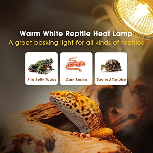 Heat Lamp Bulbs for Reptile, WEEGrow Warm White UVA Basking Light for Reptiles, Bearded Dragon Tank Accessories, Dimmable Reptile Heat Lamp 50W, Heat Bulb for Turtle Chicken Snake Gecko Lizard, 2 Pack