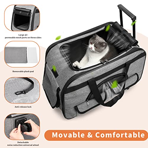 Large Rolling Cat Carrier with on Wheels, Small Dog Pet Car Travel Carrier Collapsible Bag with Rollers Wheels, Carrier for Cats under to 35 LBS/ Dog Puppy under 16 LBS ( Large Size, Not for Airplane)