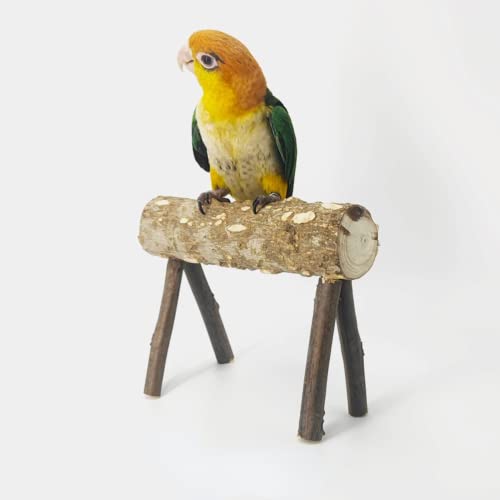 Bird Training Stand Portable Tabletop Bird Natural Wood Perch Training Perch Parrot Training Playground Bird Cage Toys Accessories for Small Parakeet Cockatiel Budgie