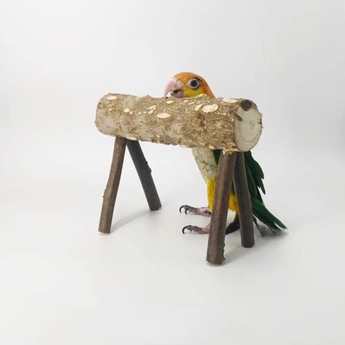 Bird Training Stand Portable Tabletop Bird Natural Wood Perch Training Perch Parrot Training Playground Bird Cage Toys Accessories for Small Parakeet Cockatiel Budgie