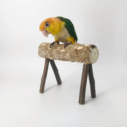 Bird Training Stand Portable Tabletop Bird Natural Wood Perch Training Perch Parrot Training Playground Bird Cage Toys Accessories for Small Parakeet Cockatiel Budgie