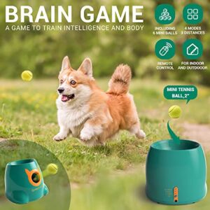 Greenvine Automatic Dog Ball Launcher Interactive Ball Thrower Fetch it Machine 6 Balls Included Premium