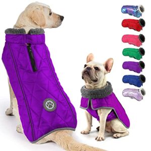 fragralley dog winter jackets, waterproof windproof dog winter coat, dog clothes with furry collar, cold weather coats for dogs, puppy snow jacket for small medium large dogs