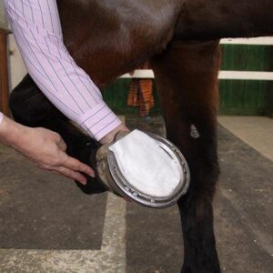 Tack Shack of Ocala- Animalintex Hoof Poultice Pad and Poultice Pad, Poultice Pad, Poultice Pad for Horses, Poultice for Horses, Poultice Wrap- Leg Care for Horses (3-Pack Hoof Poultice)