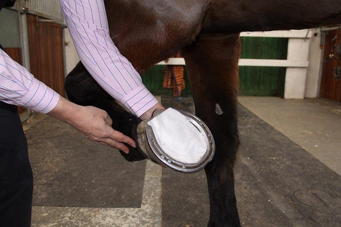 Tack Shack of Ocala- Animalintex Hoof Poultice Pad and Poultice Pad, Poultice Pad, Poultice Pad for Horses, Poultice for Horses, Poultice Wrap- Leg Care for Horses (3-Pack Hoof Poultice)